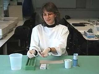 HemoSurf - programme de démonstration!